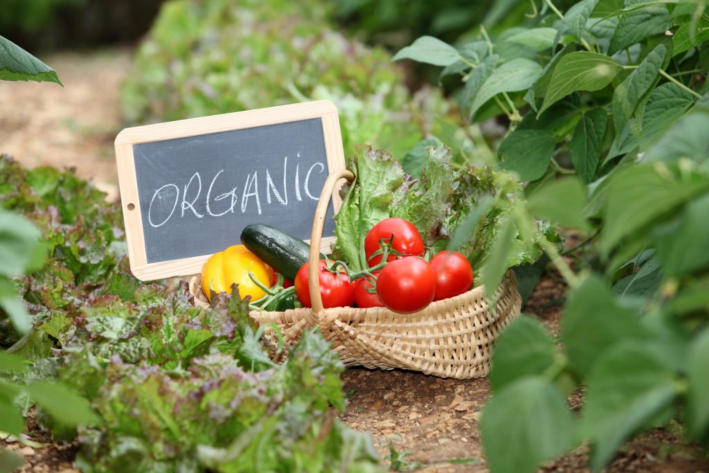 HOW IS ORGANIC GROWN? - Cheryl M Health Muse